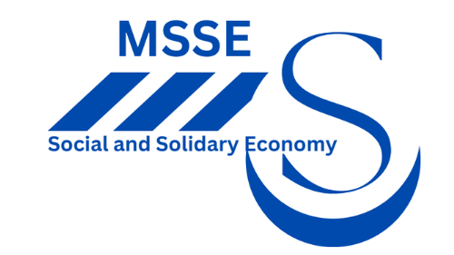 Partners – MSSE